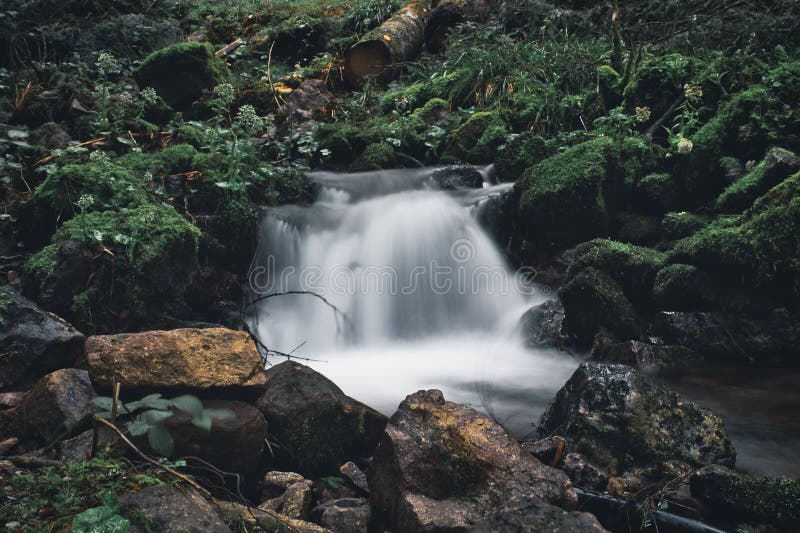 Small Waterfall Surrounded by Green Vegetation Falling from the Rocks ...