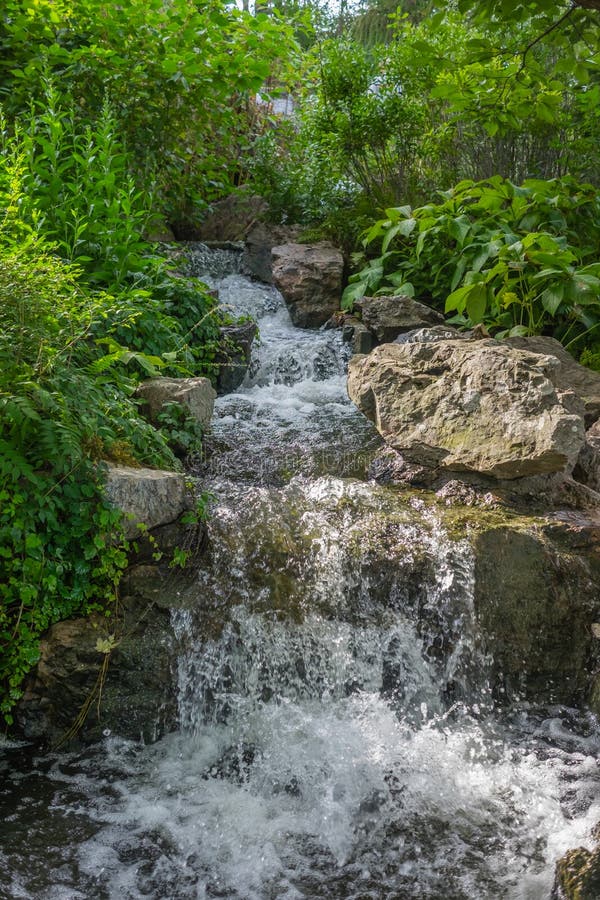 Small waterfall stock image. Image of outdoor, forest - 97714129