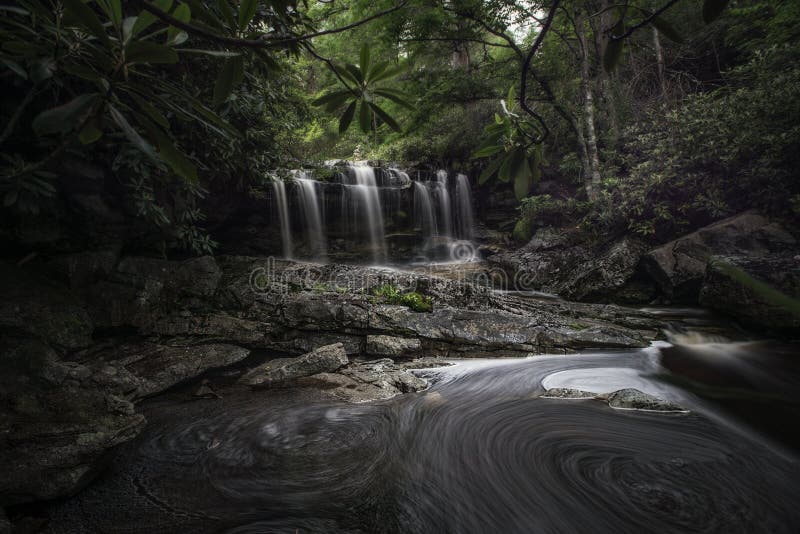 Small Waterfall Surrounded by Plants and Tropical Trees Stock Photo ...