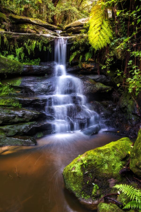 Small waterfall in Sydney stock photo. Image of scenic - 94371380