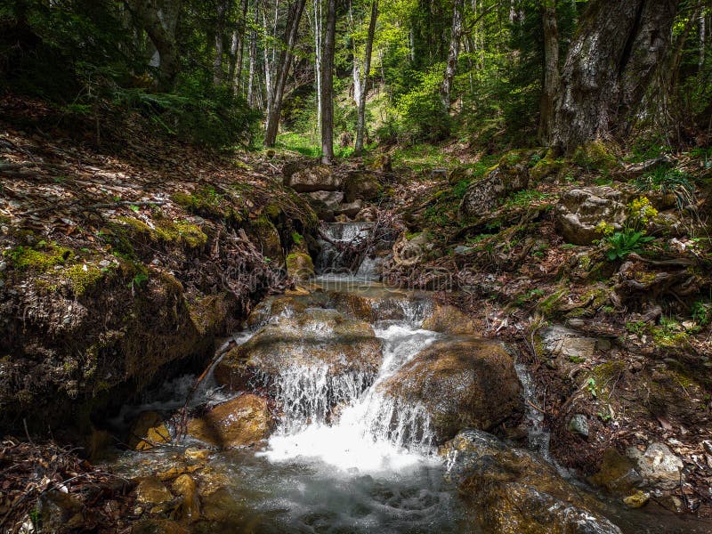 A Small Waterfall in a Temperate Deciduous Forest. a Source of Pure ...