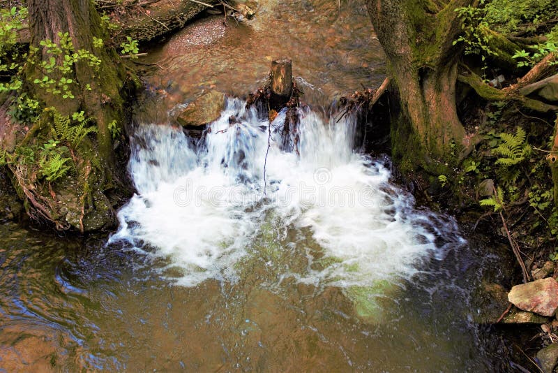Small Waterfall in between the Trees Stock Photo - Image of takes ...