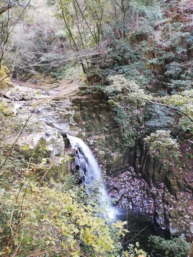 Small Waterfall with Trees stock image. Image of rapid - 179005767
