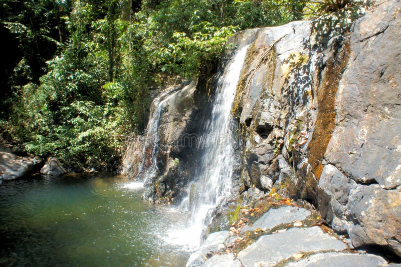 A Small Waterfall in the Tropical Jungle. Palawan. Stock Photo - Image ...