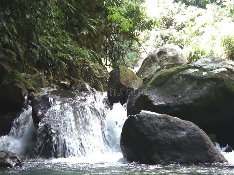 A Small Waterfall in the Wild Jungle . Palawan Island Stock Video ...