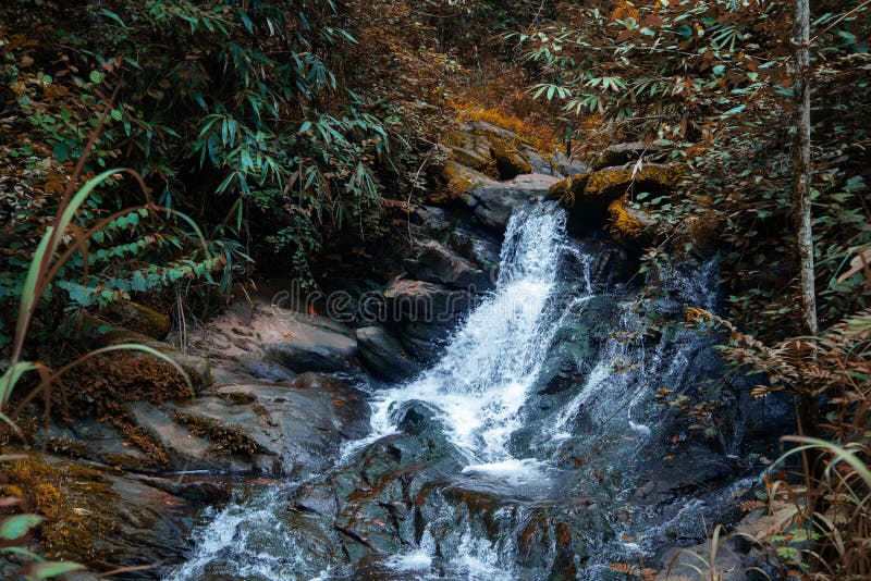 Small Waterfall in the Tropical Rainforest Mountains Stock Photo ...