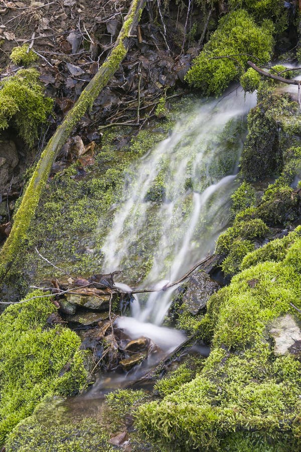 Small Waterfall in Virgin Nature Stock Photo - Image of natural, stream ...