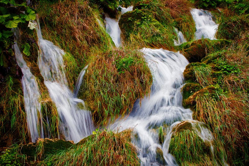 Small Waterfall, Water Stream between Rocks and Grass Stock Photo ...