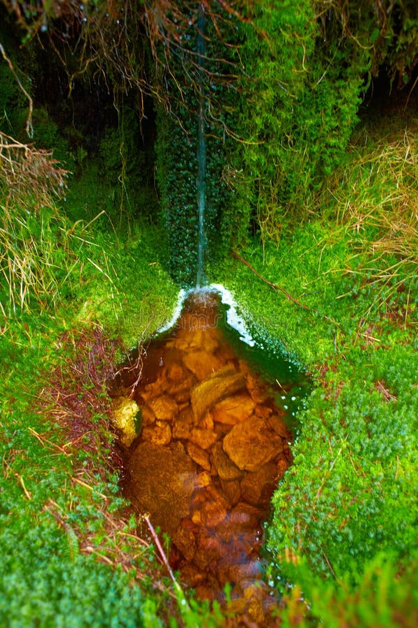 Small Waterfall in Wild Forest with Trees, Grass and Moss. Stock Photo ...