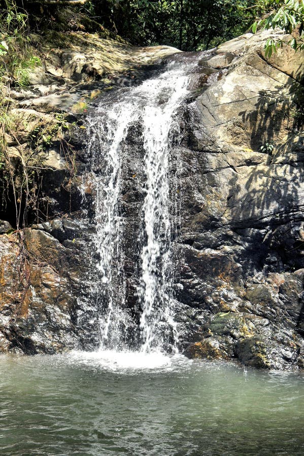 A Small Waterfall in the Wild Jungle . Palawan Island . Stock Photo ...
