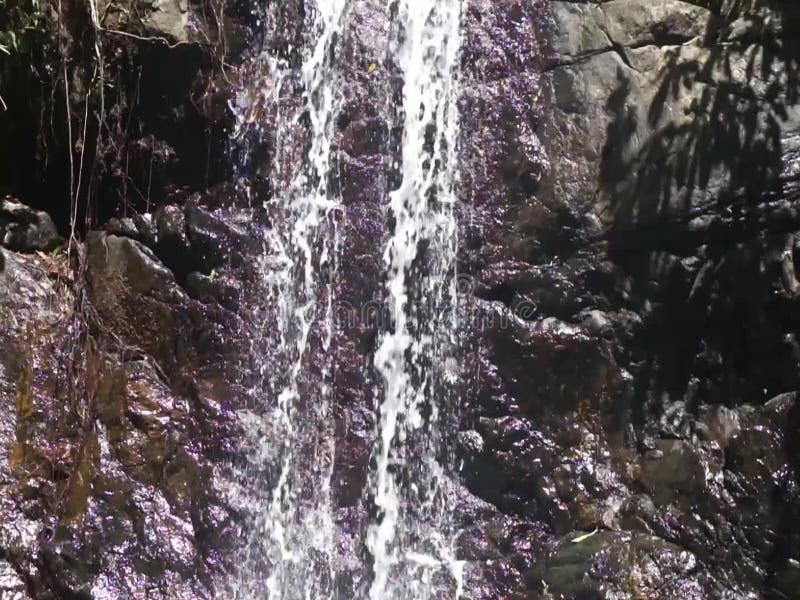 A Small Waterfall in the Wild Jungle . Palawan Island Stock Footage ...