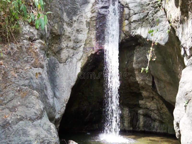 A Small Waterfall in the Wild Jungle . Palawan Island Stock Video ...