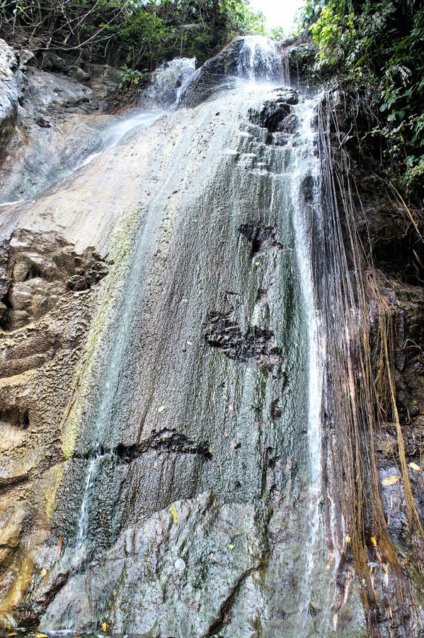 A Small Waterfall in the Tropical Jungle. Palawan. Stock Photo - Image ...