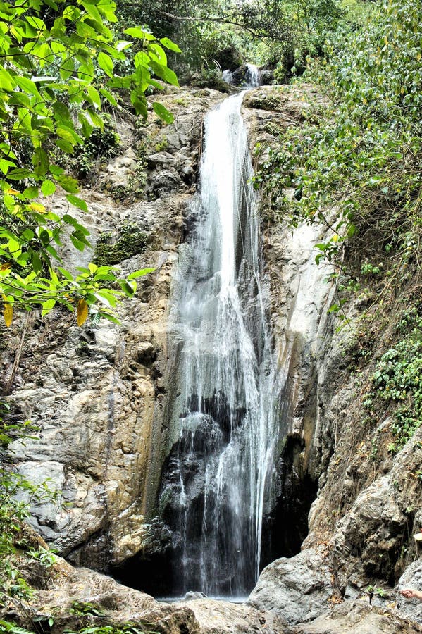 A Small Waterfall in the Wild Jungle . Philippines Stock Image - Image ...