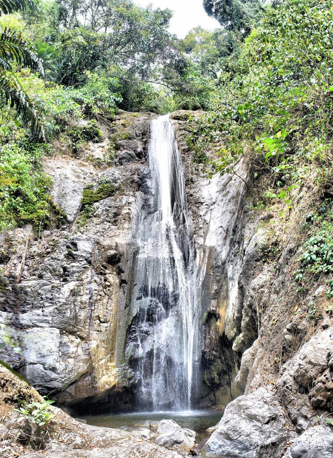 A Small Waterfall in the Wild Jungle . Philippines Stock Photo - Image ...