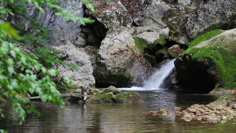 Small Waterfall in a Mountain Stream Stock Video - Video of peaceful ...
