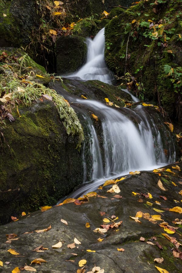 Small Waterfall Winds Its Way through Rock Formations Covered in Yellow ...