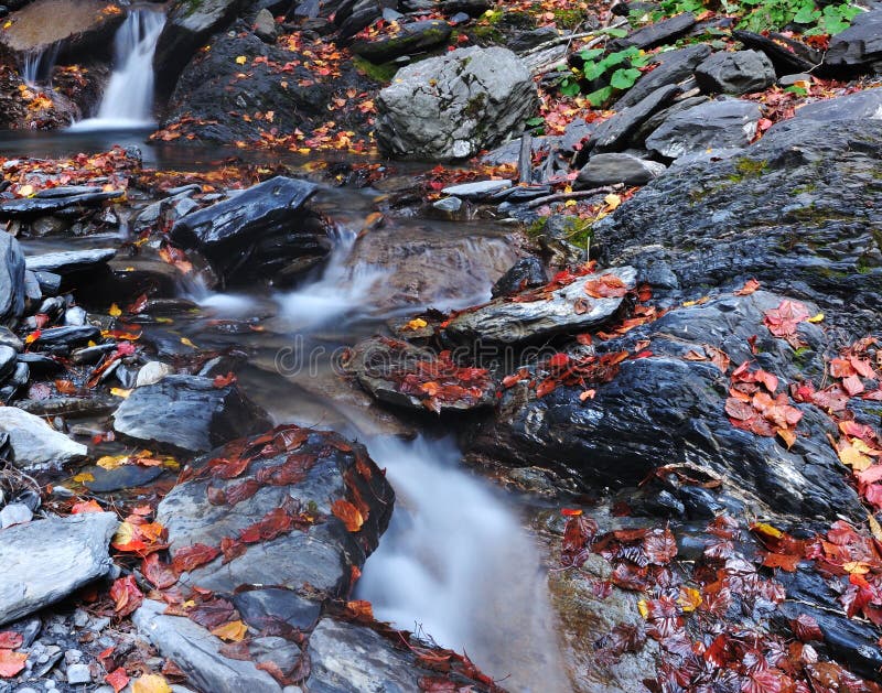 Waterfall and Autumn Leaves Stock Image - Image of garden, falls: 16899891