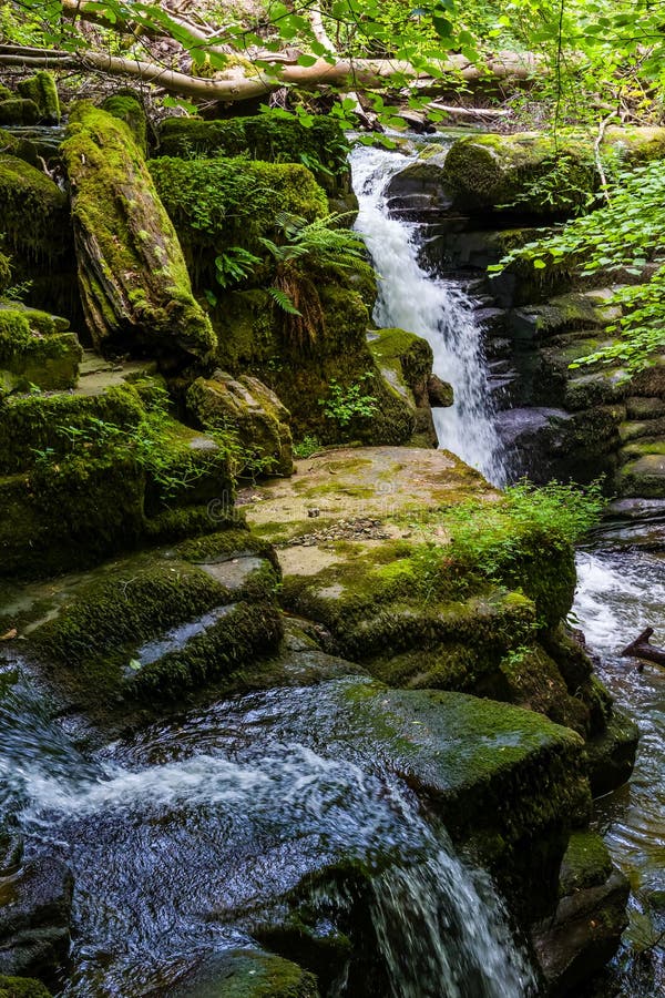 Small Waterfalls in Beautiful Woodland Stock Image - Image of landscape ...