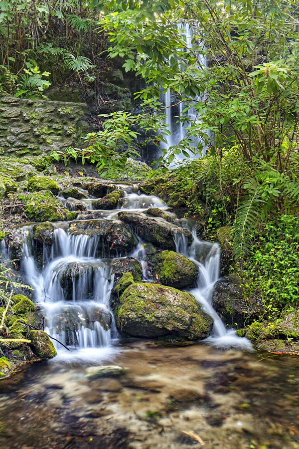 Small Waterfalls in a Dense Forest Stock Image - Image of nature ...