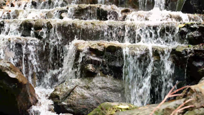 Small Waterfalls in the Highland Rain Forest. Stock Footage - Video of ...