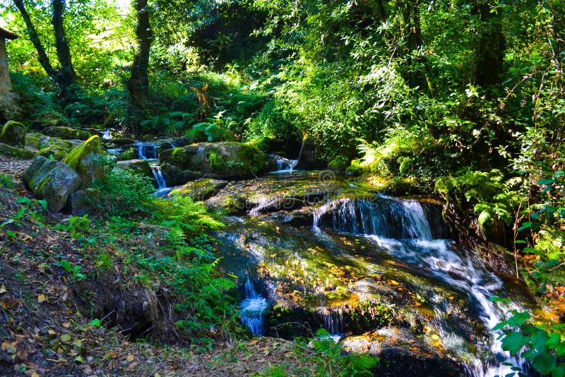 Small Waterfalls in Middle of a Forest. Pure Nature Stock Photo - Image ...