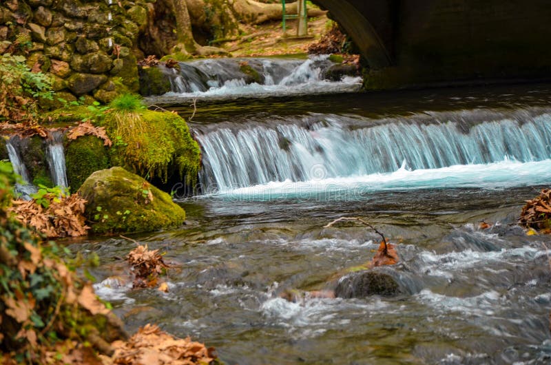 Small waterfalls stock image. Image of pond, tree, leaf - 254954379