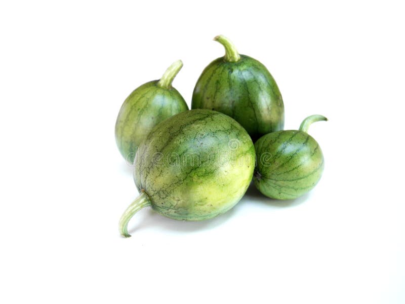 Small watermelon stock image. Image of organic, nutrition - 210322781
