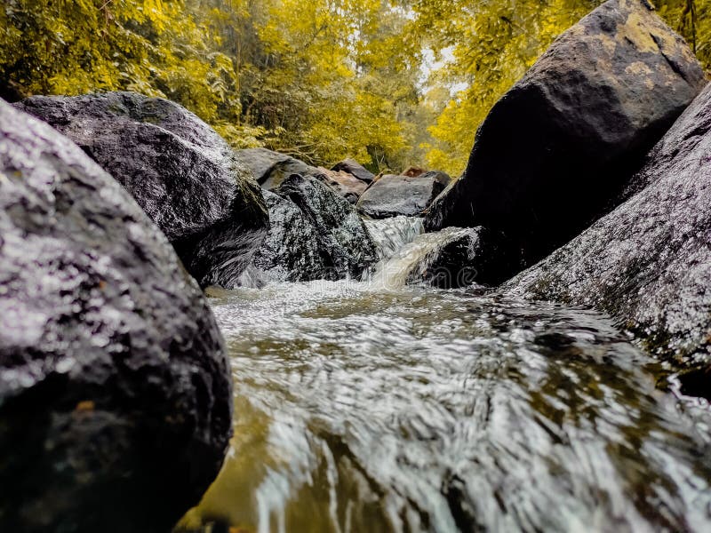 The Small Waterway in Jungle Stock Photo - Image of wild, small: 214073138
