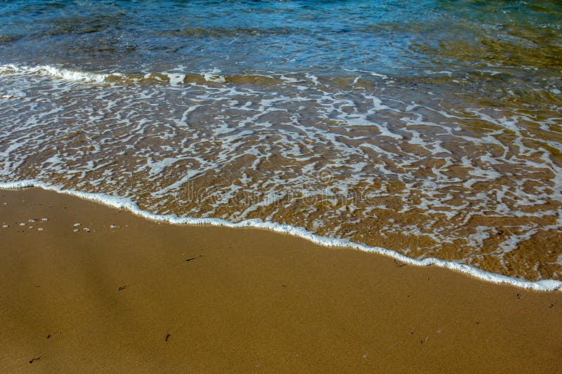 Small wave in a beach stock image. Image of ripple, idyllic - 292831227