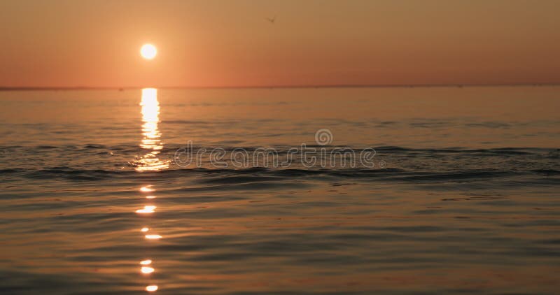 Small Waves on a Beach at Sunset Stock Image - Image of waves ...