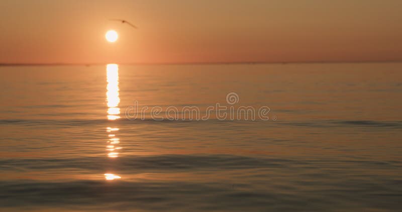 Small Waves on a Beach at Sunset Stock Image - Image of golden, relax ...