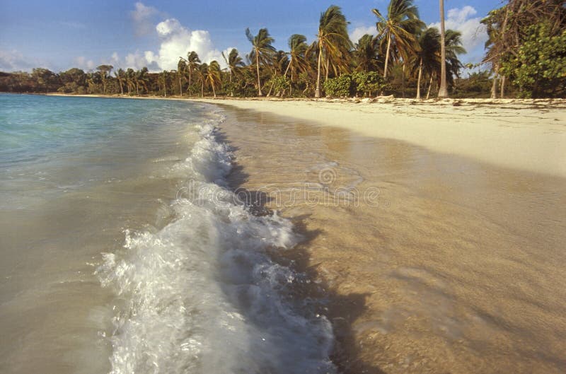 Small Waves Break on a Caribbean Beach Stock Image - Image of shore ...