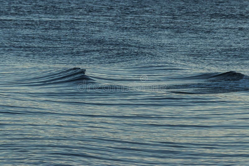 Small Waves Created by a Boat in the Water Stock Photo - Image of ...