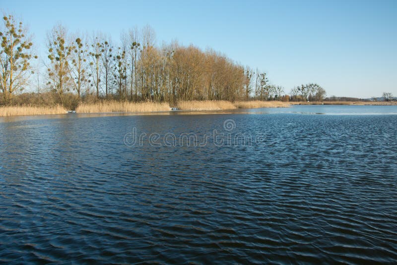 Small Waves on a Lake. Trees on the Horizon and a Clear Sky Stock Image ...