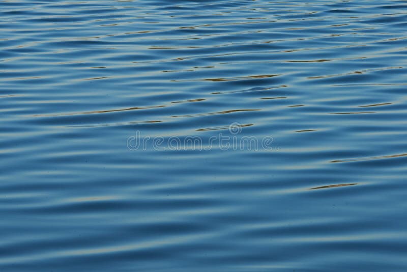 SMALL WAVES on a POND stock image. Image of ripples, environment - 94170299