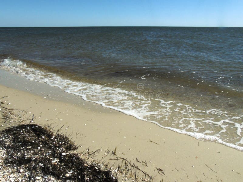 Small Waves Roll Onto the Summer Sea Beach with Small Stones and Shells ...
