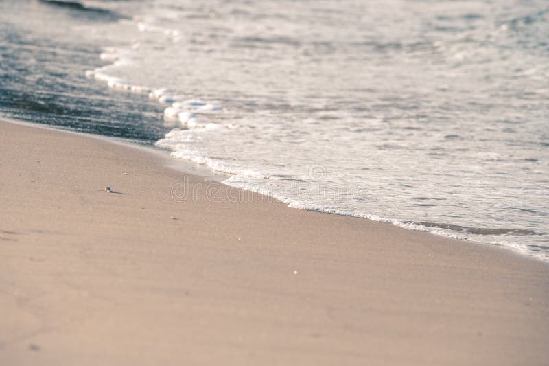 Small Waves Rolling Onto a Sandy Beach Stock Photo - Image of sandy ...