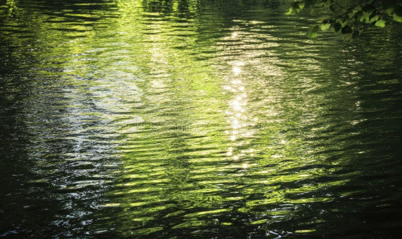 Small Waves on the Surface of a Pond, Sunlight Glinting Off the Water ...