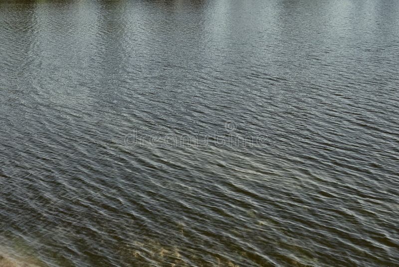 Small Waves on the Surface of the Pond. Water Surface. Background Stock ...