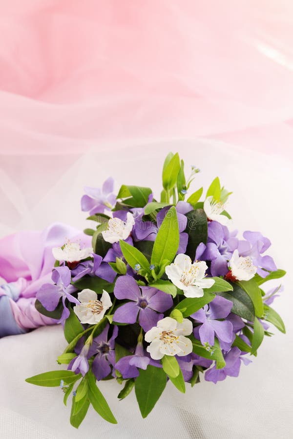 Bouquet of violets stock photo. Image of natural, herb - 30014336
