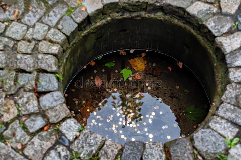 A Small Well with Coins in a Garden Stock Photo - Image of sunlight ...