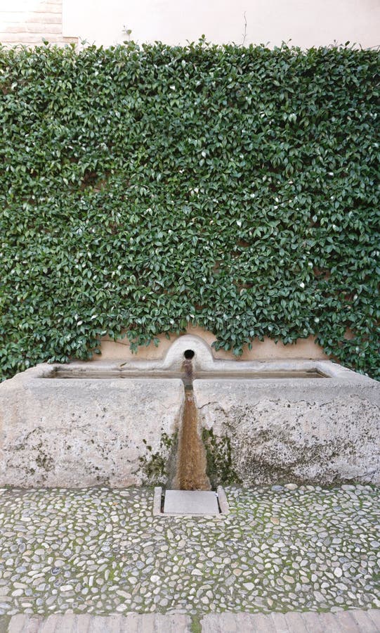 Small Well with Plants Background Stock Image - Image of pebble, pond ...