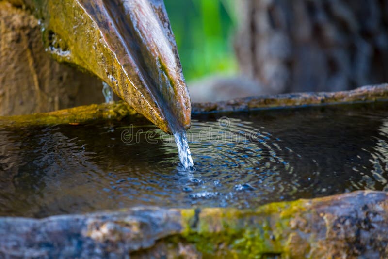 Wellspring with Small Cascades at Tara Mountain and National Park Stock ...