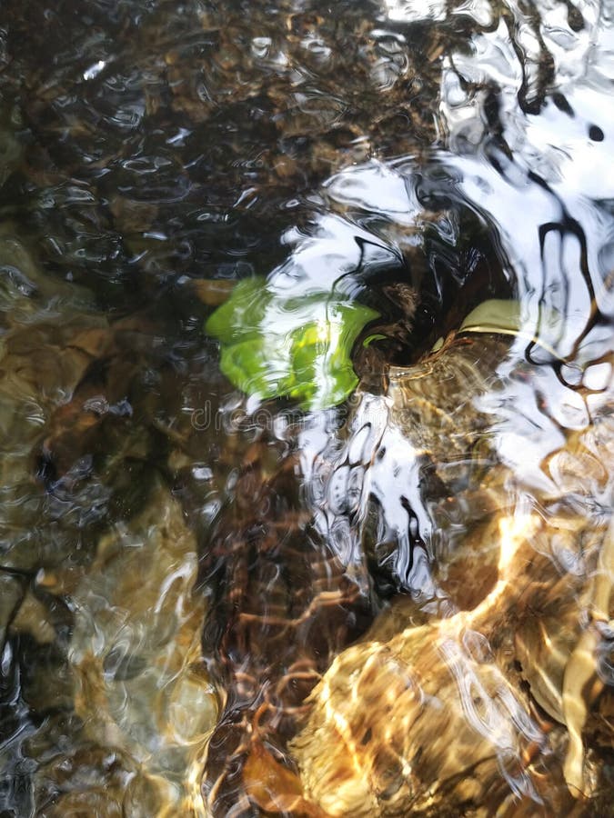 Small Whirlpool in Clear Water Stock Image - Image of autumn, pond ...