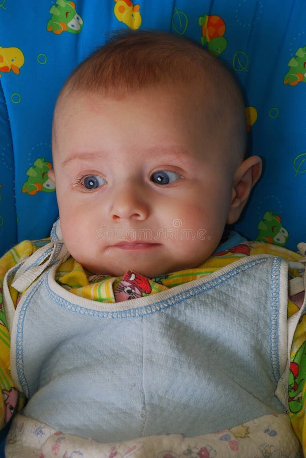 Small white boy stock photo. Image of healthy, family - 22487816