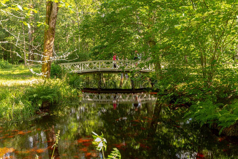 Small White Bridge Over a Tiny Stream in the Forest.. Editorial Stock ...