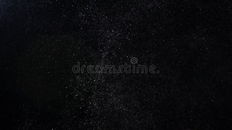 Small White Fly Particles Fly on a Black Background Stock Photo - Image ...
