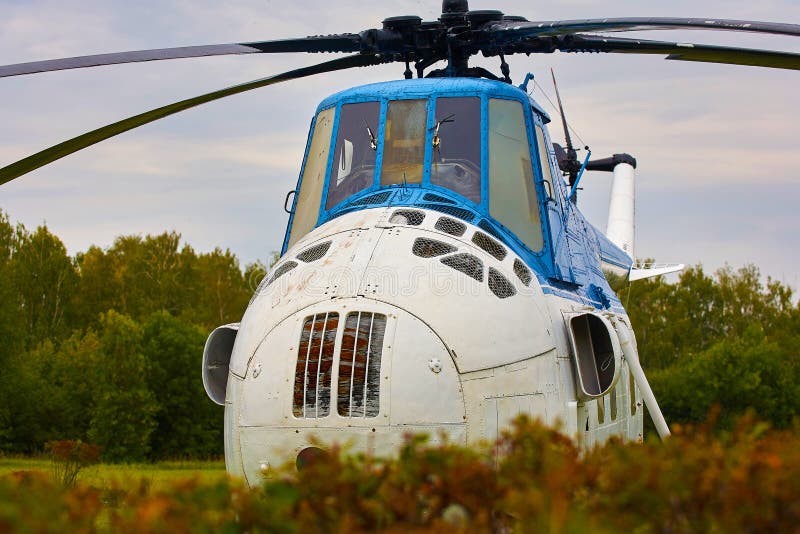 A Small White Helicopter with a Blue Stripe on the Green Grass Stock ...