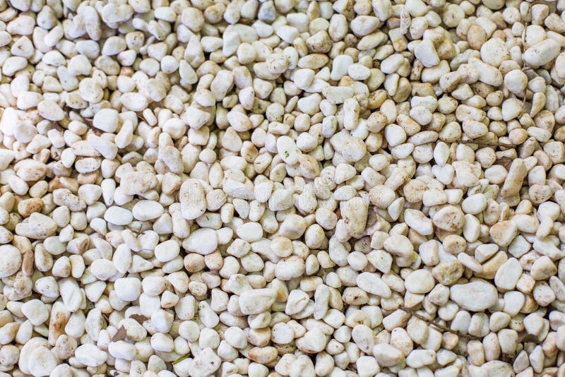 Small White Pebble Rocks Background Stock Photo - Image of concrete ...